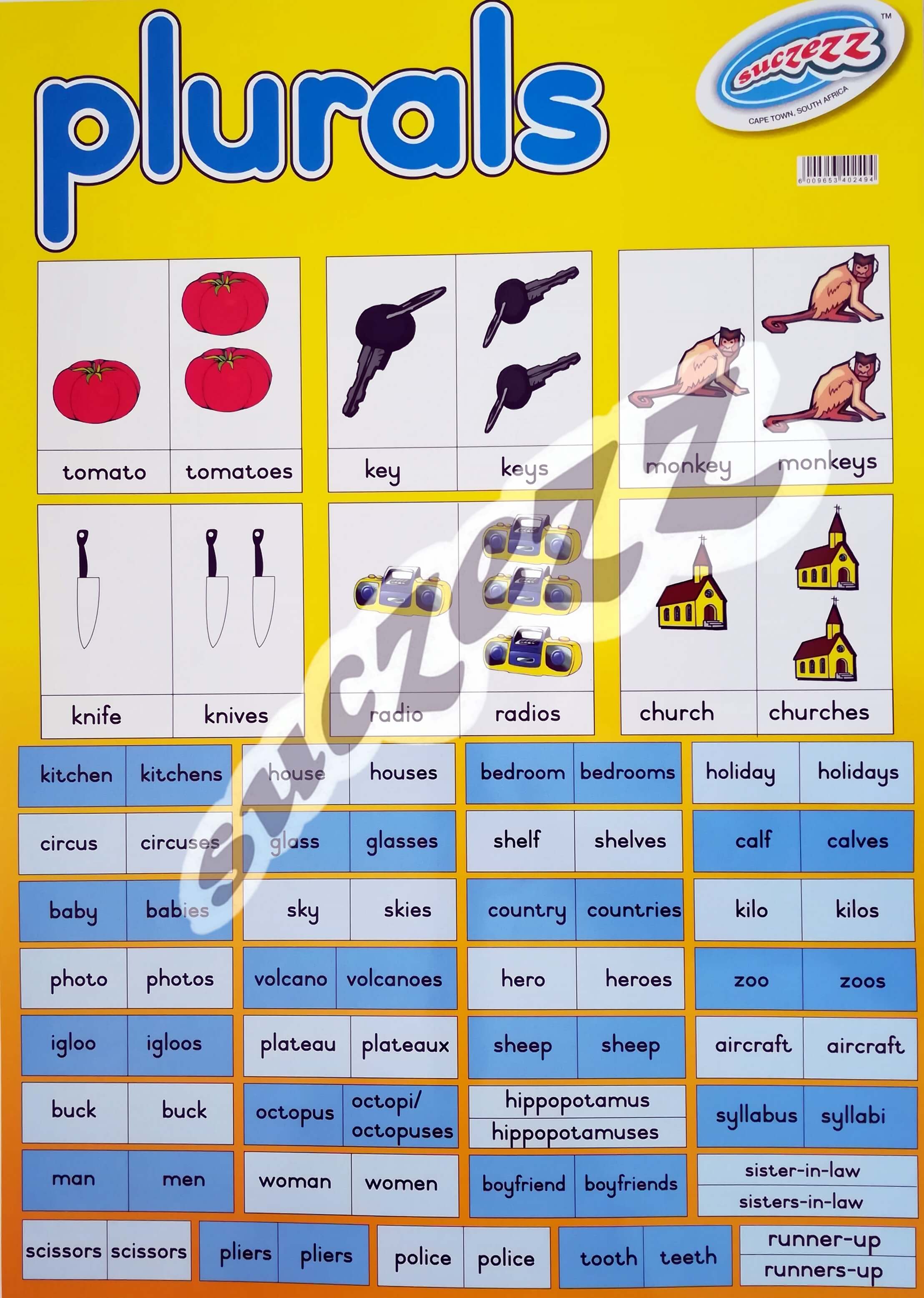 Poster - Plurals – Edunation