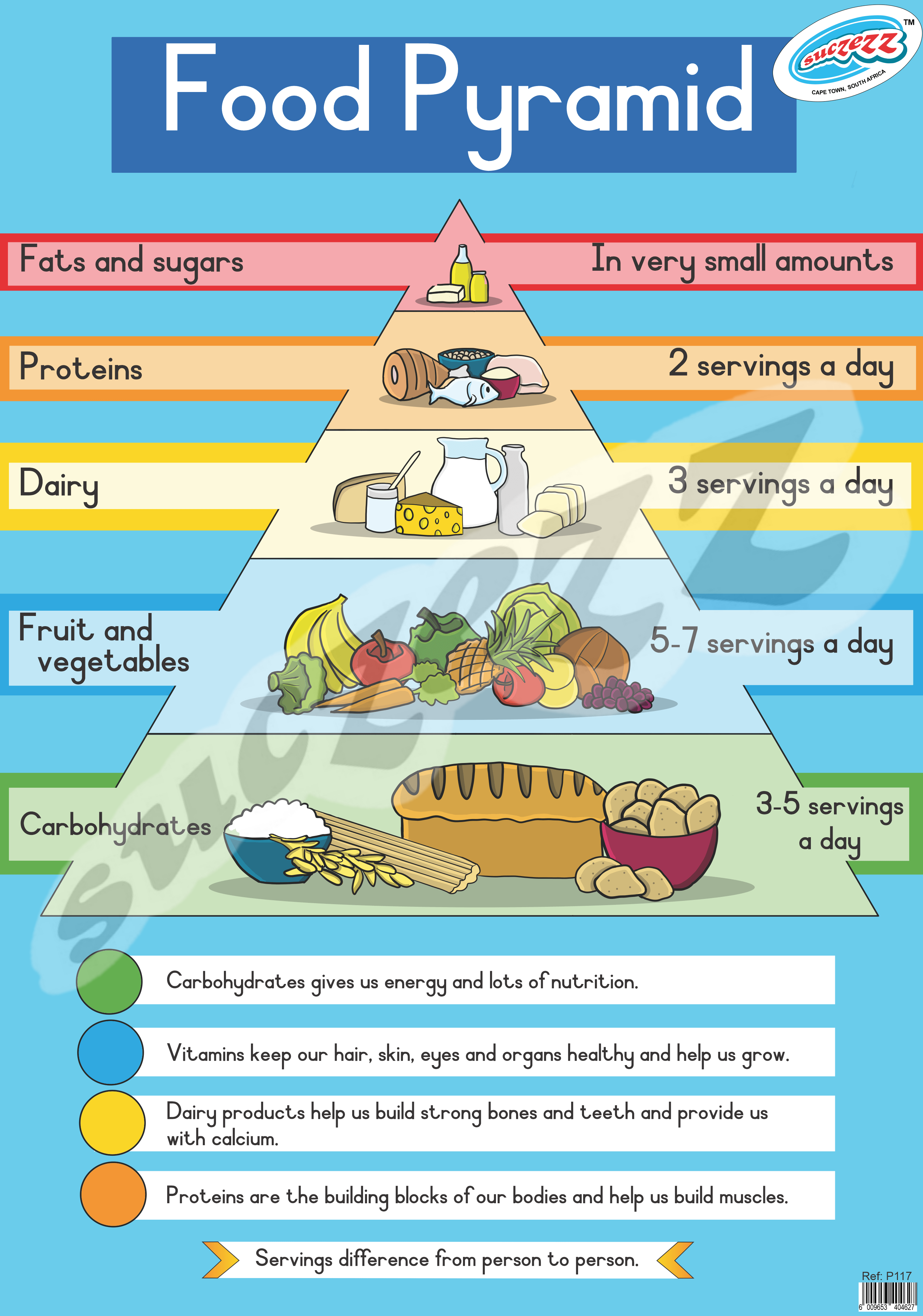 Poster - Food Wheel – Edunation
