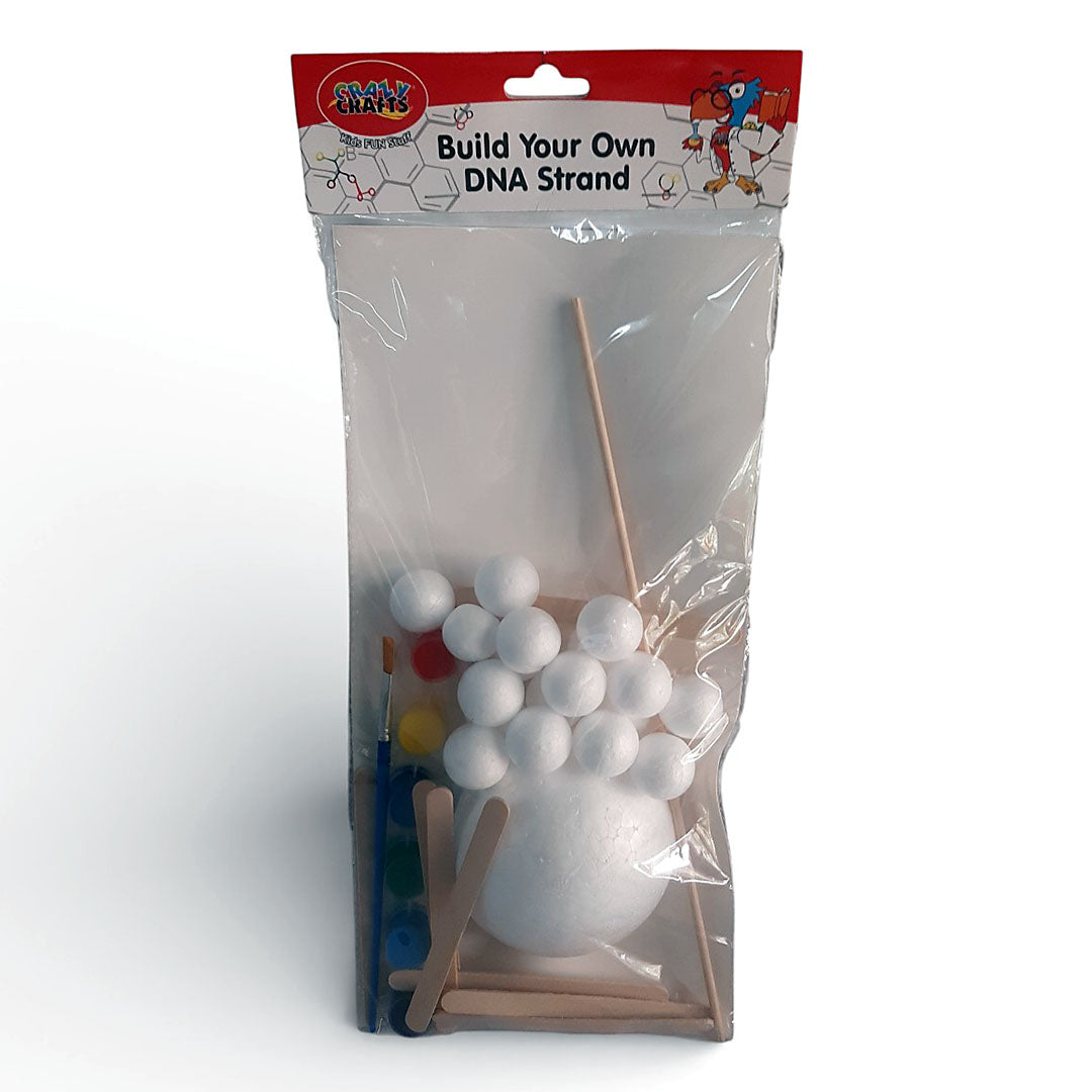 Build Your Own DNA - Stand – Edunation