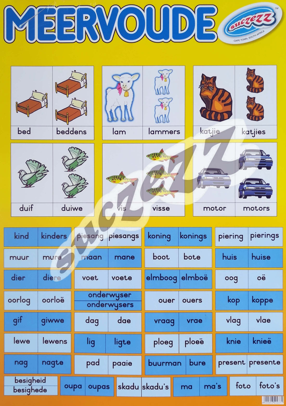 Muurkaart - Meervoude – Edunation